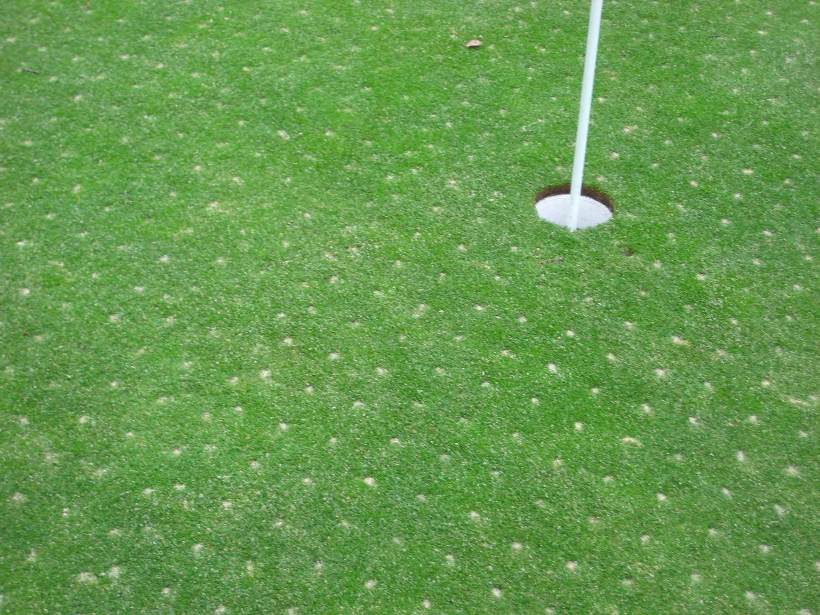 Granite Bay Golf Club Course Update: Aerification Setback