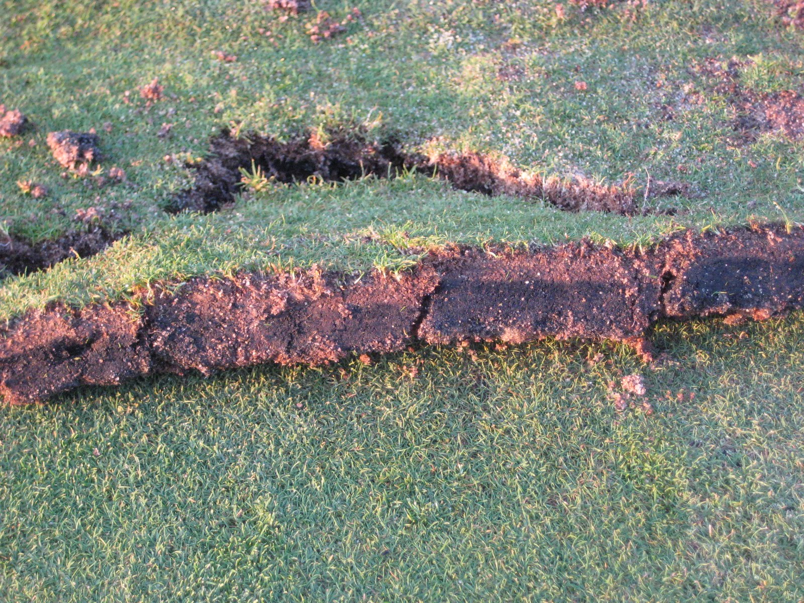 Granite Bay Golf Club Course Update: What’s going on with the Greens ...