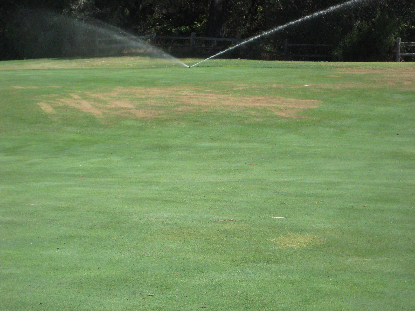 Granite Bay Golf Club Course Update: Why We Get Soft In The Summer