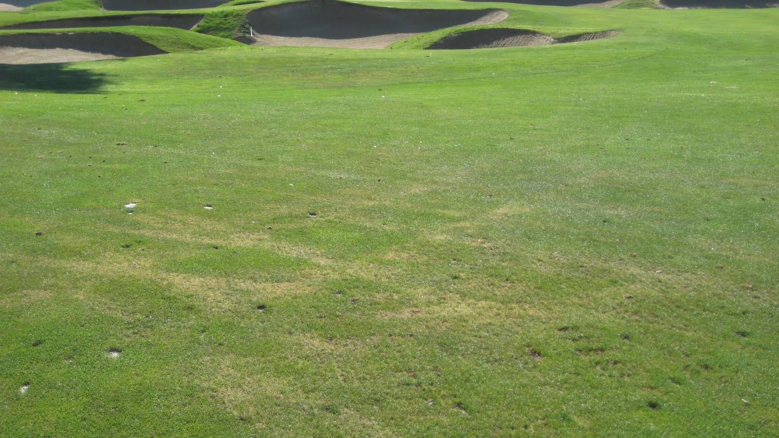 Granite Bay Golf Club Course Update: Cart Traffic On Stressed Turf ...