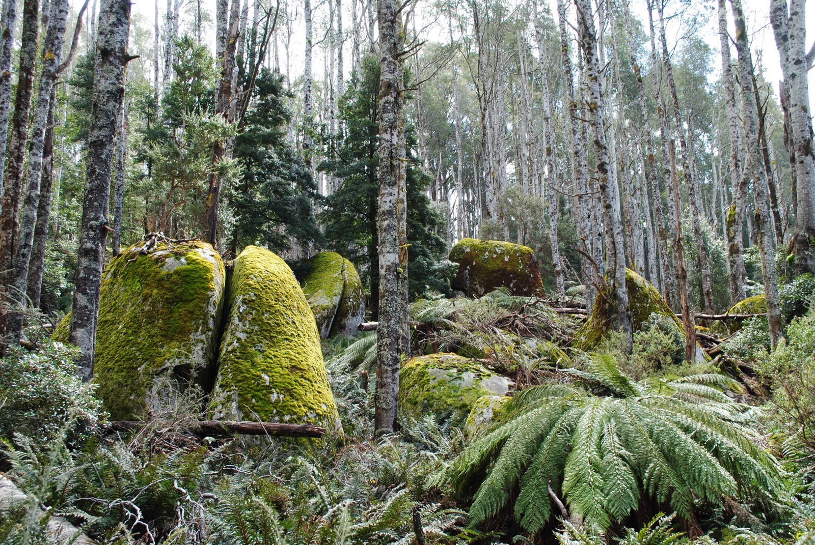 Mushroom Rocks - Baw Baw National Park - Rawson - Victoria