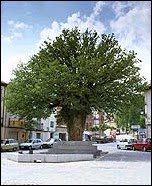 RASCAFRÍA DESCÚBRELO: OTRA LEYENDA DE LAS MÁS POPULARES