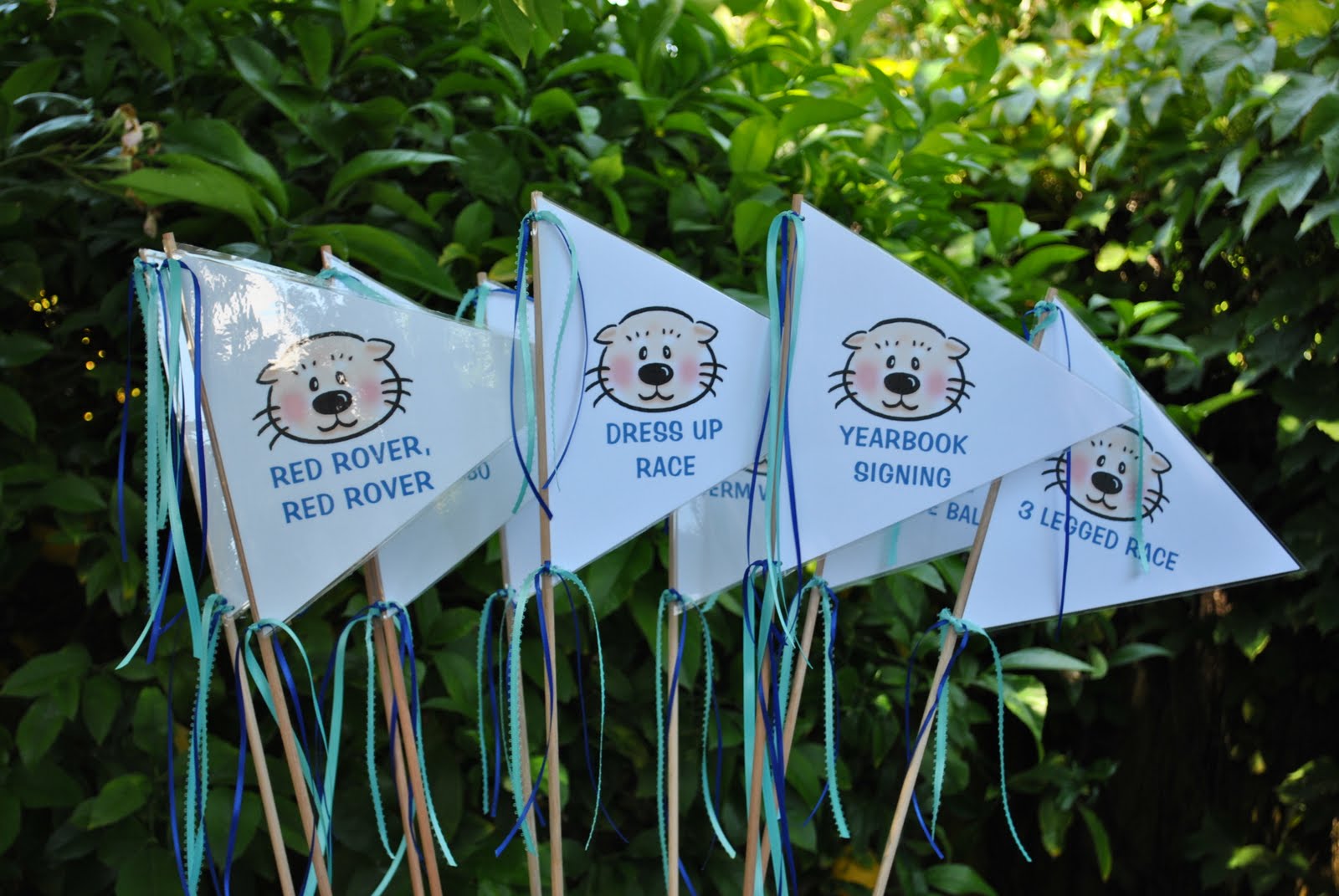 Jac o' lyn Murphy: Field Day Flags...