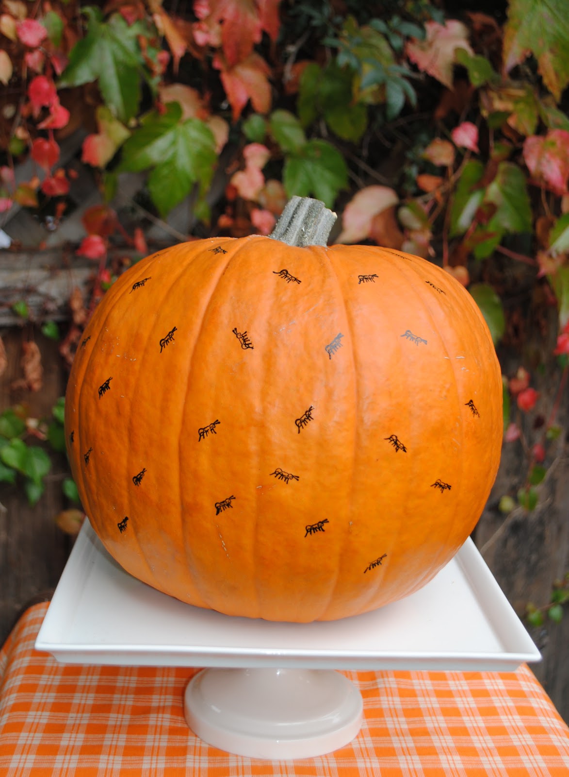 Jac o' lyn Murphy: Pumpkin Picnic!