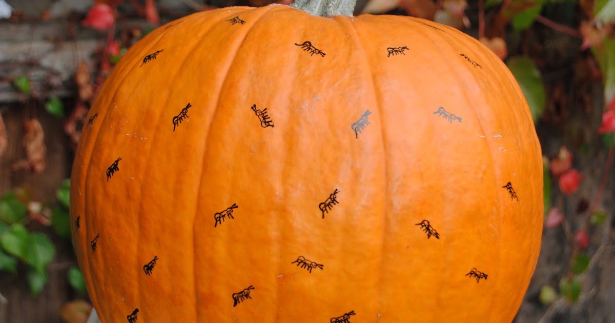 Jac o' lyn Murphy: Pumpkin Picnic!