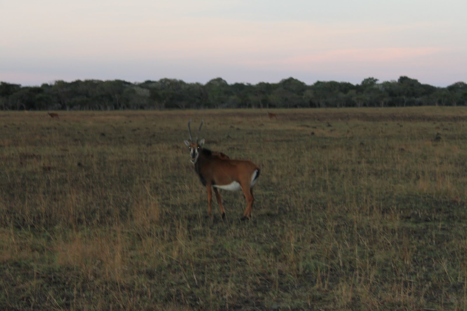 TLR's Zambian Adventure: Nchila Camping Adventure Part 3 - The Camping