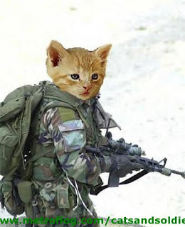 SPARTAN: GUERRA PERROS Y GATOS