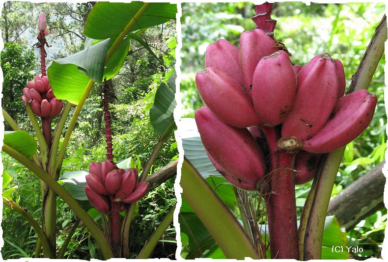 Ningún lugar está lejos... en RD: agosto 2010