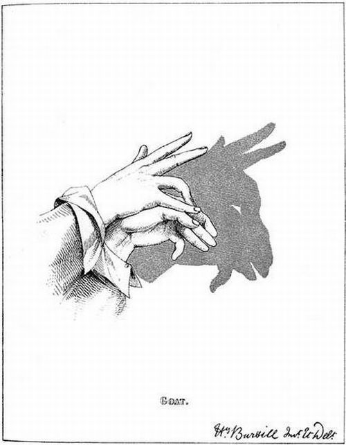 incredible Shadowgraphy Art ~ AMAZING-ARTS