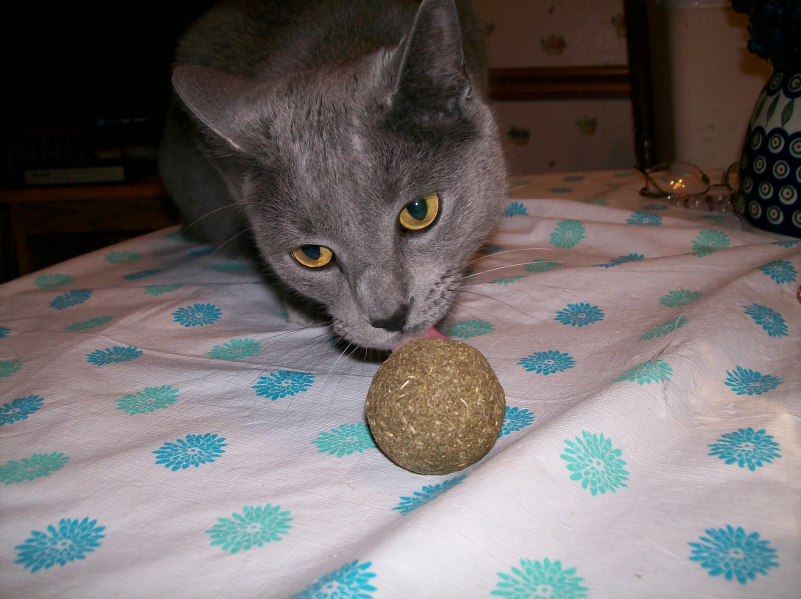 Consider my dear...: Mojo's Big Bojo #1