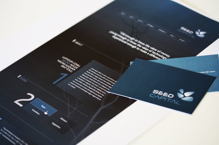Ruido Visual Design Blog: Seed Capital - Identidade