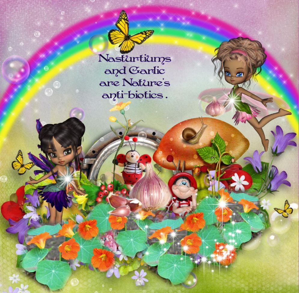 Faeries 4 Children: HEALING WITH THE FAERIES ...