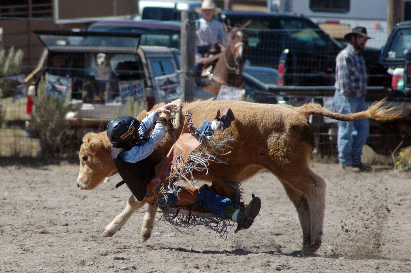 Happy Trails: DuBoise Idaho Rodeo