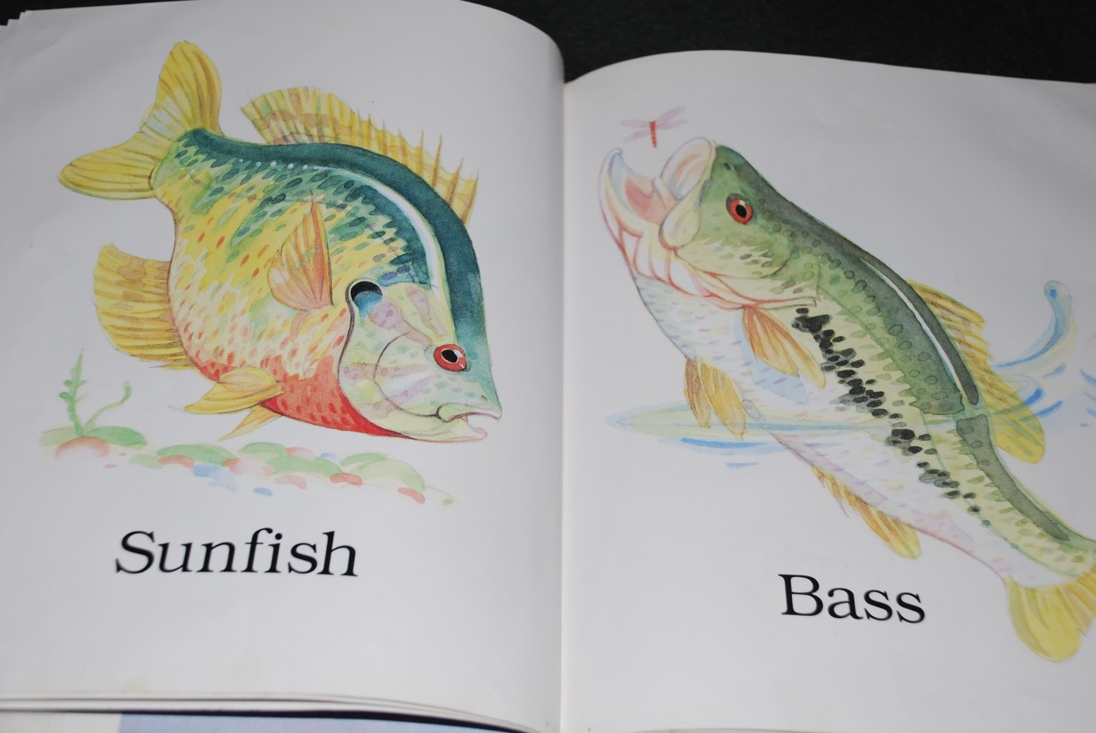 Everyday Carnival: f is for fish - preschool week wrap up