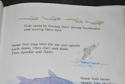 Everyday Carnival: f is for fish - preschool week wrap up