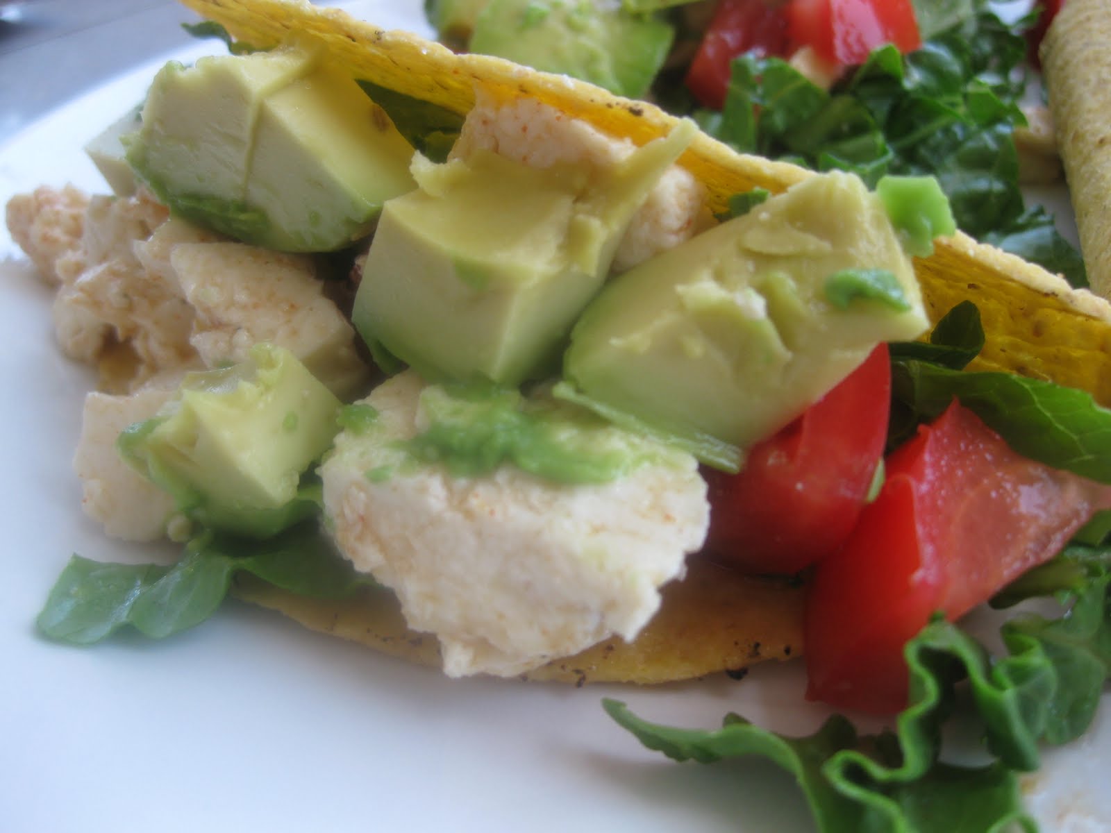 yumcoast: soft tofu ceviche tacos