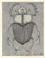 JAMATA: Más insectos y crustáceos.