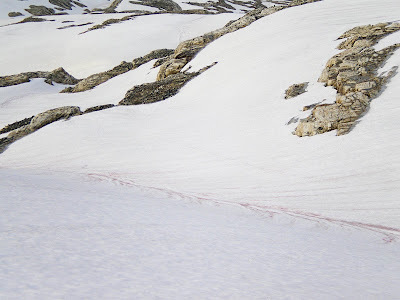 The Scientist: The glacier ecosystem