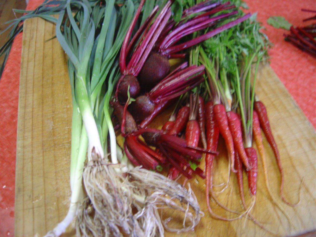 Beautiful Baby Vegetables