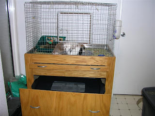 Food Control: Worm Composting / Self Cleaning Rabbit