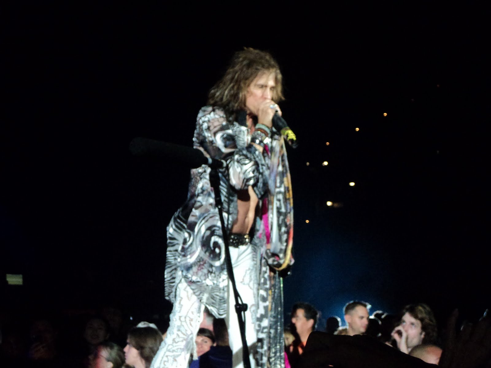 gendance Blog: Steven Tyler-Fashion King