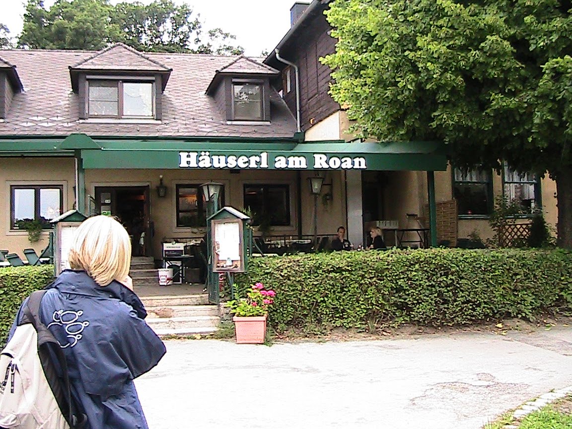 Vienna Strolls: Tuesday 3 August - the second stroll - Cobenzl ...