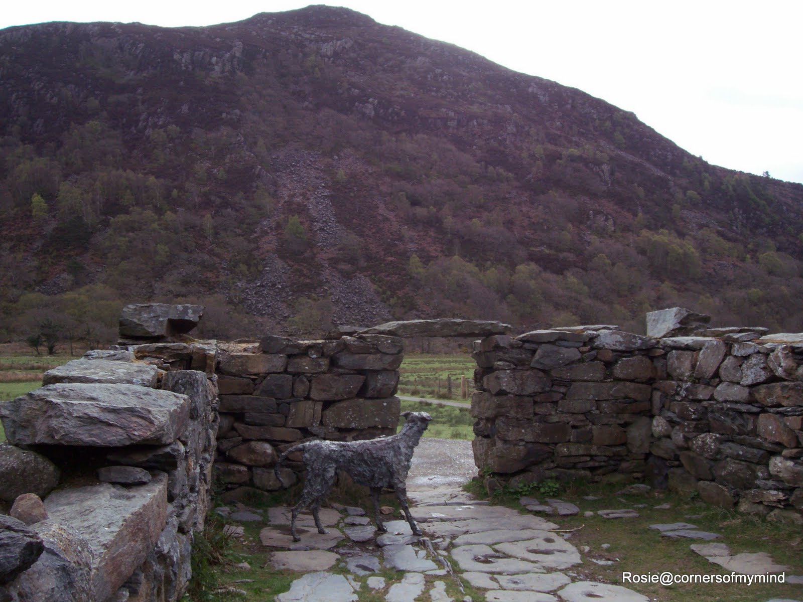 Corners of my Mind: The Legend of Gelert