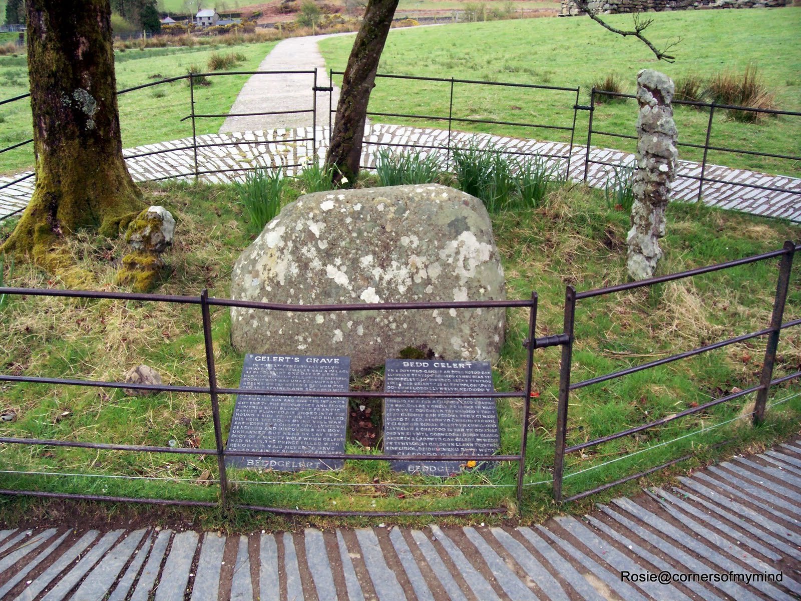 Corners of my Mind: The Legend of Gelert