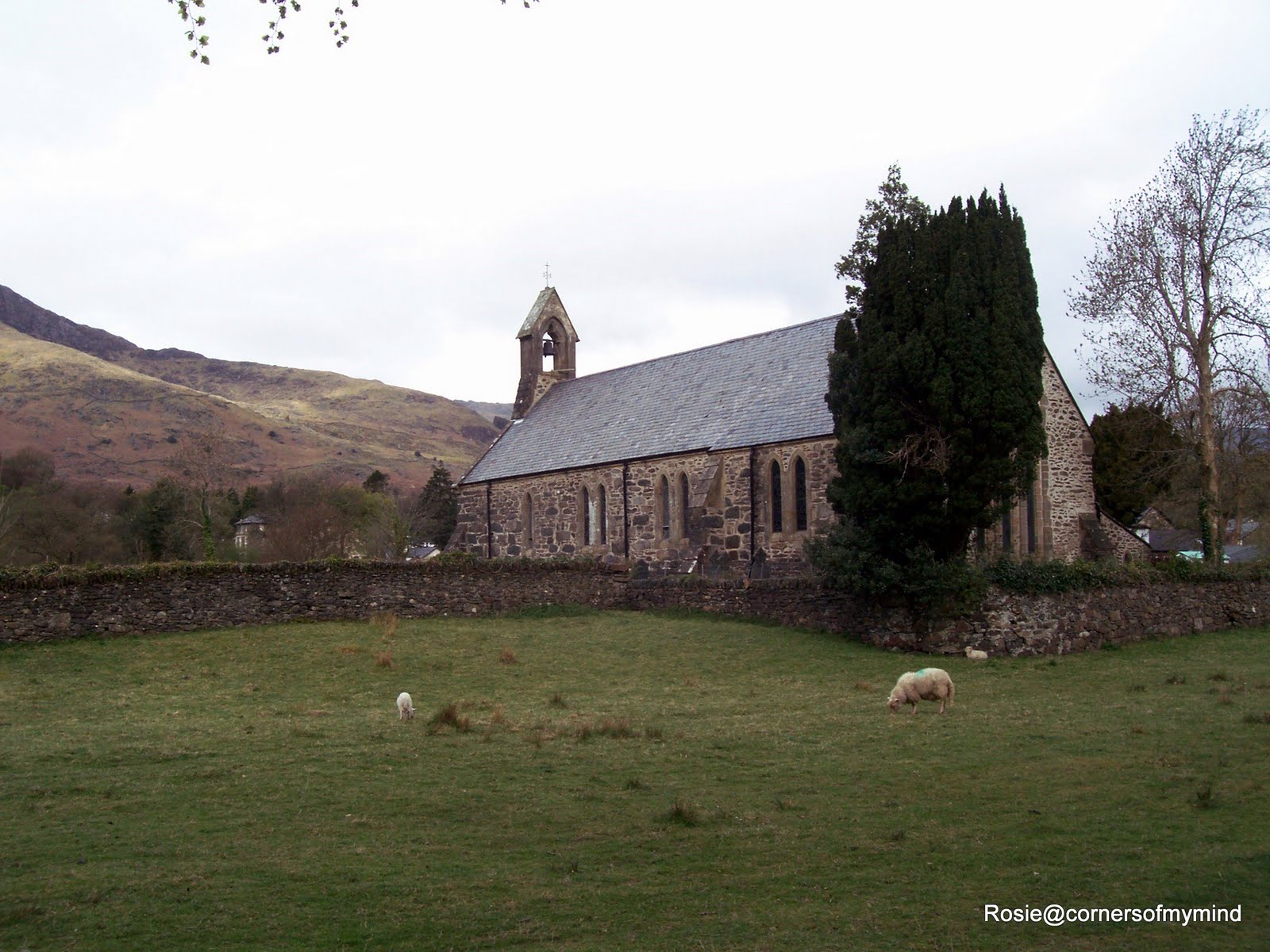 Corners of my Mind: The Legend of Gelert