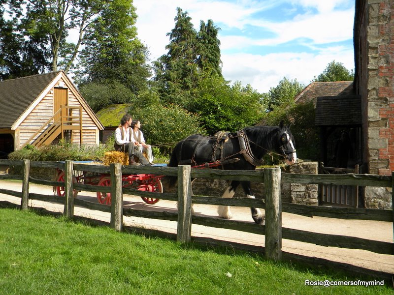 Corners of my Mind: Acton Scott Historic Working Farm