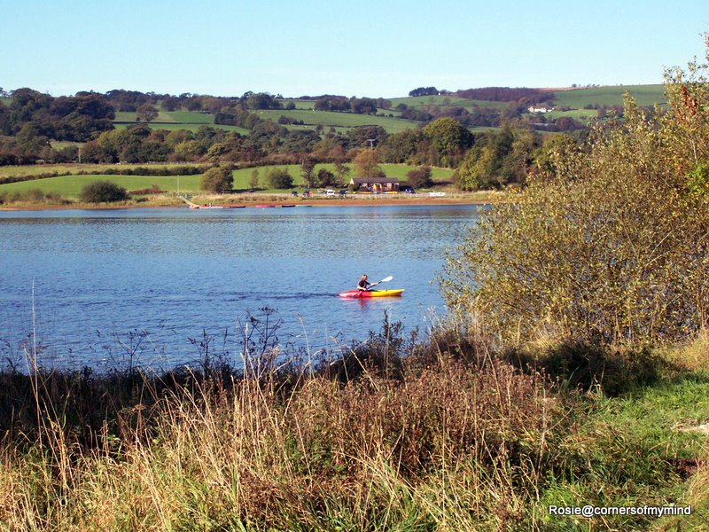 Corners of my Mind: At Tittesworth Reservoir