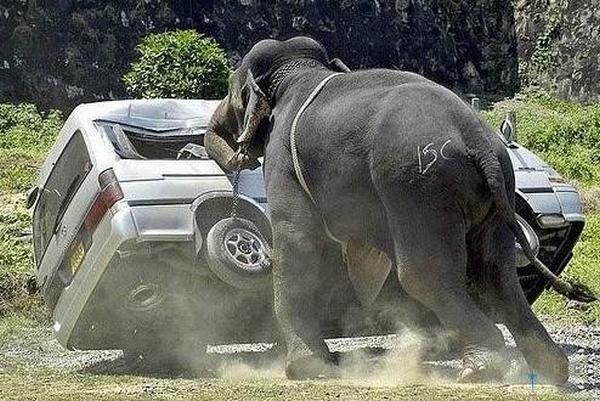 COLLECTION OF JOKES: Funny Accidents