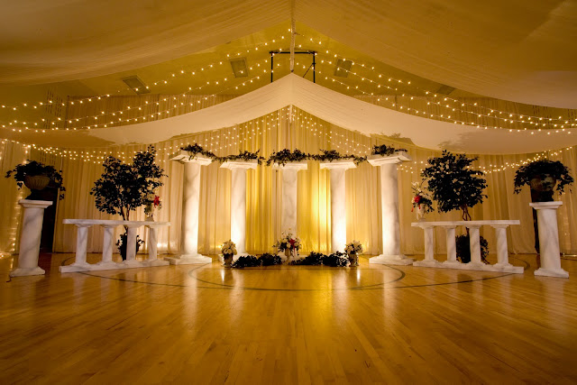 Legacy Weddings & Events: Ceiling Canopy Package