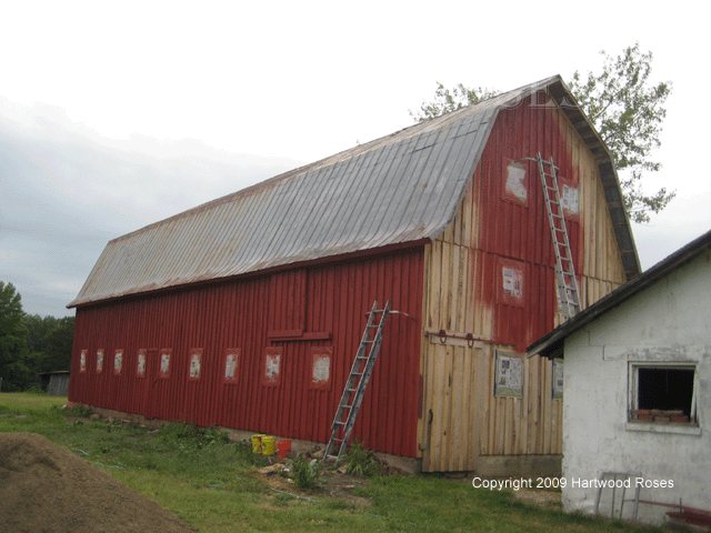 Hartwood Roses: Our Barn Restoration