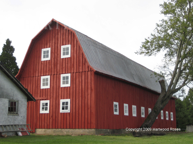 Hartwood Roses: Our Barn Restoration