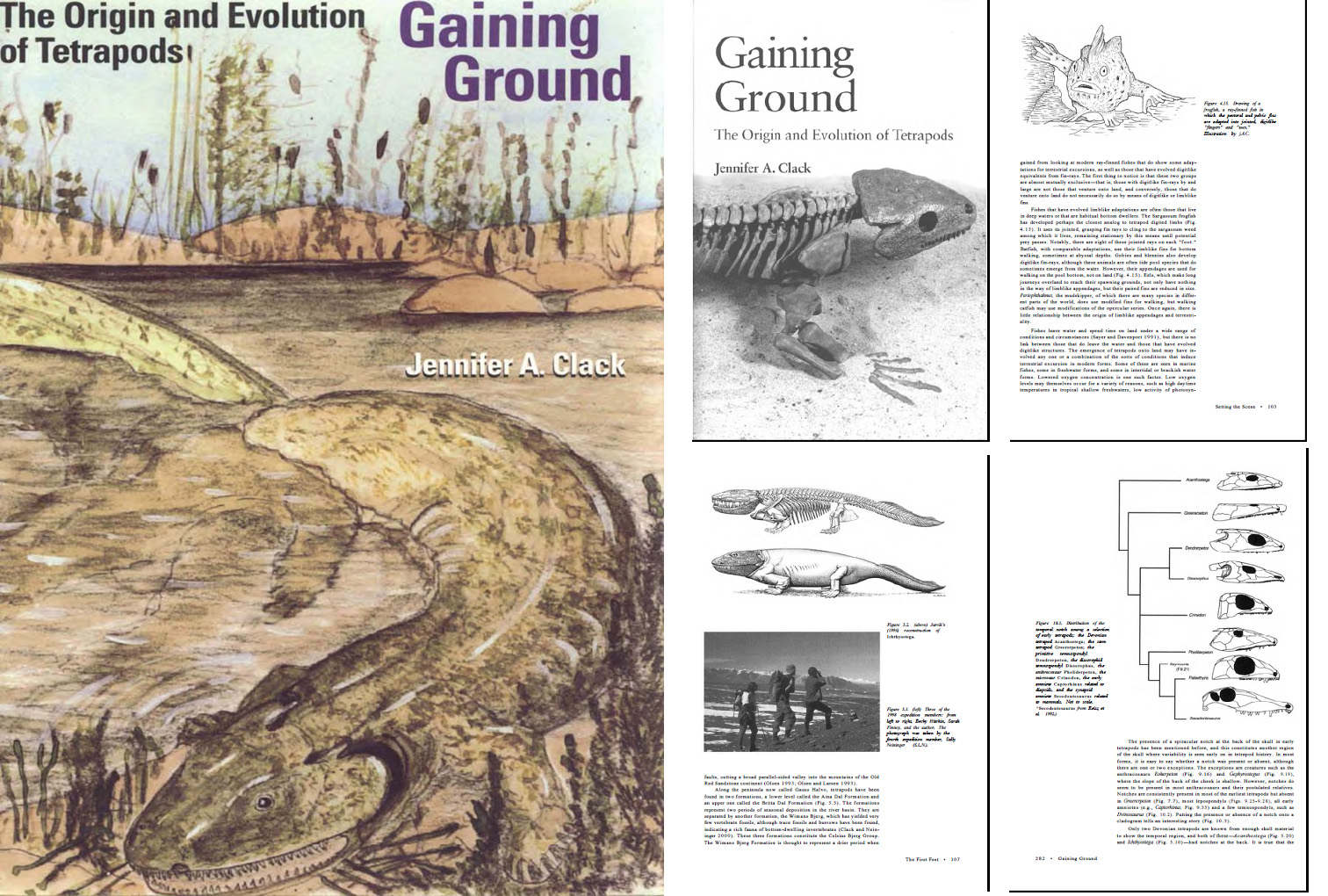 Ganga Libros: Gaining Ground: The Origin and Early Evolution of Tetrapods