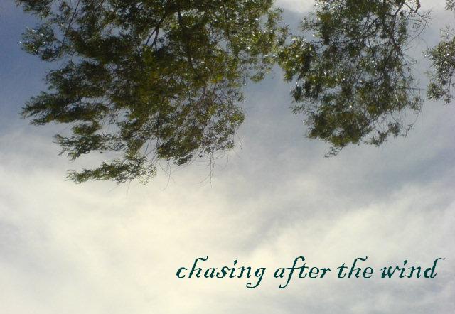 stand in the rain: chasing after wind