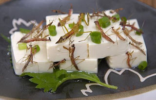 Fun Is the Best: Exotic Insect Sushi