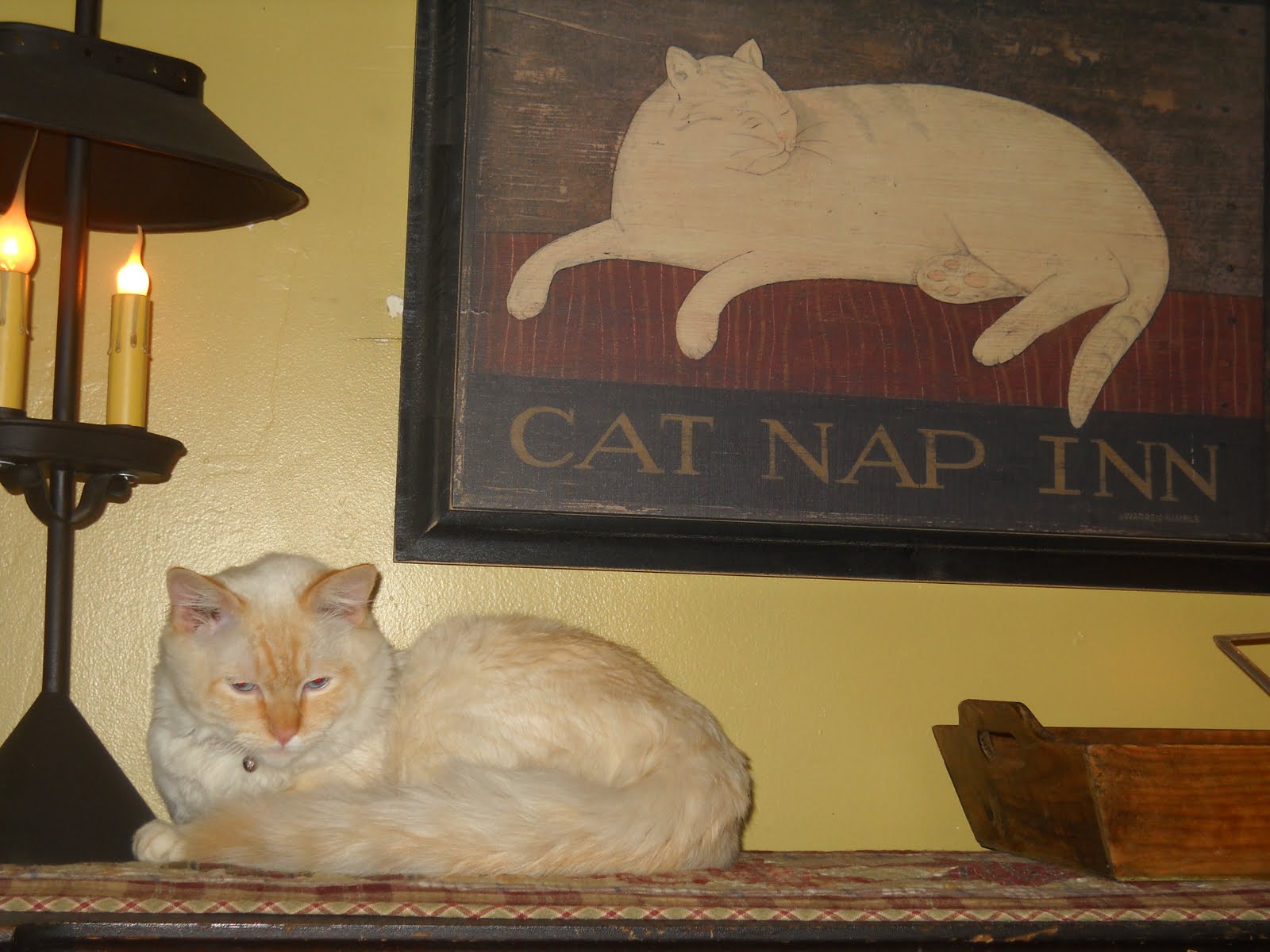 The Olde FarmHouse Road: Cat Nap Inn