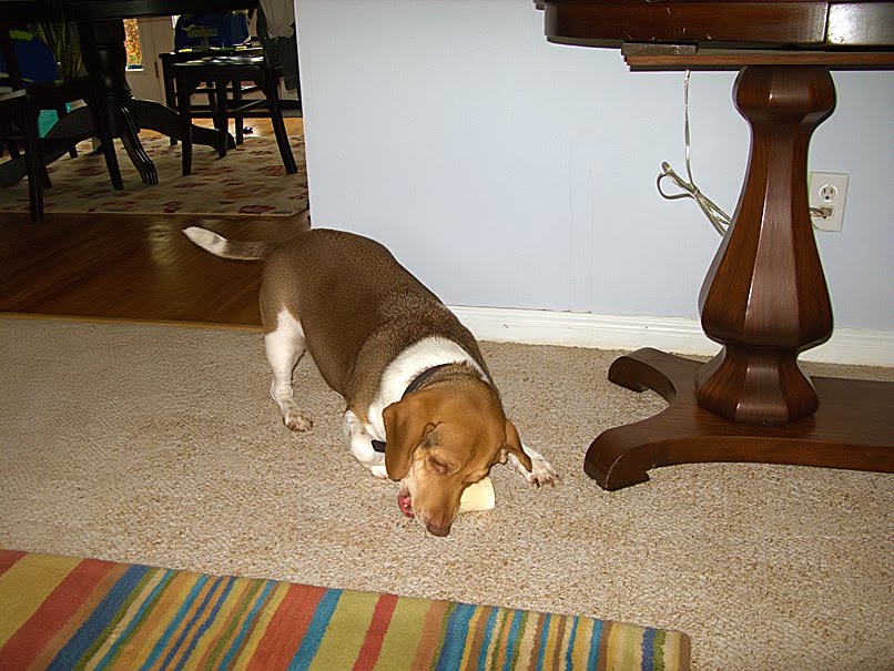 PLTC Behind The Scenes: A Day in the Life - Jeff Coon