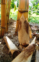 N U K I L A N: CERITA BULUH