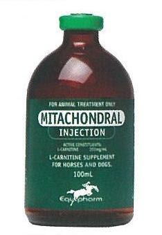 MANO EQUESTRIAN SERVICES: MITACHONDRAL