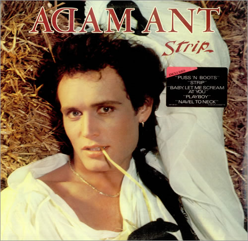 Ant: ADAM ANT(STUART LESLIE GODDARD