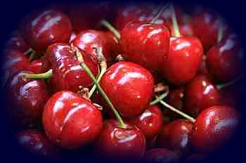 PLANTAS MEDICINAIS: CEREJA - Prunus avium L - Propriedades Medicinais - 32