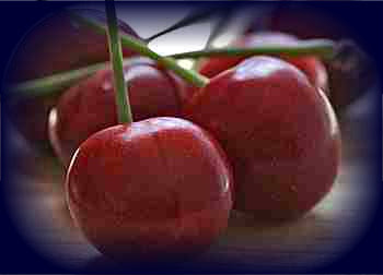 PLANTAS MEDICINAIS: CEREJA - Prunus avium L - Propriedades Medicinais - 32