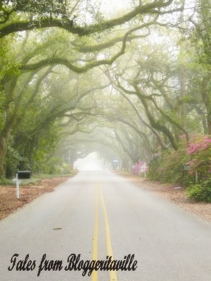Alabama Bloggers: Alabama Town Spotlight: Magnolia Springs