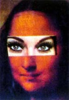 Aula Virtual Colegio San Javier: Instrucciones para parpadear