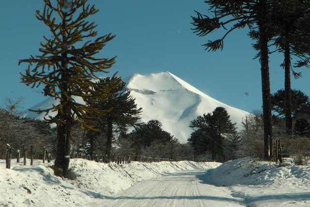 "HOKUS POKUS": Volcán Lonquimay (2865m); Cara Sur desde Centro de Esquí ...