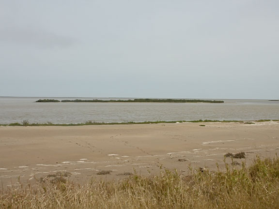 Ecobirder: Laguna Atascosa