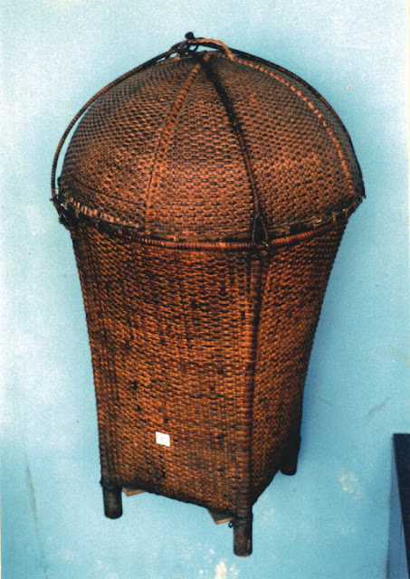 DAMLAILUNG: Mizo thil hlui